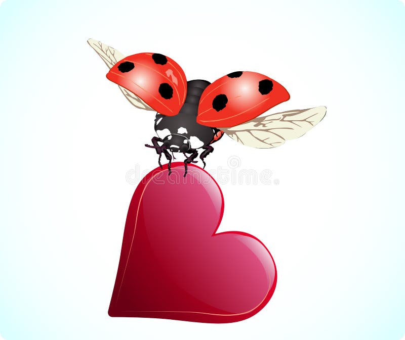 Ladybug with heart stock illustration. Illustration of love - 36790977