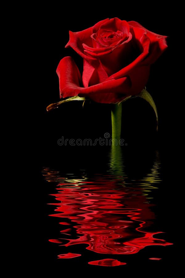 Valentine s reflections stock photo. Image of beautiful - 7560570