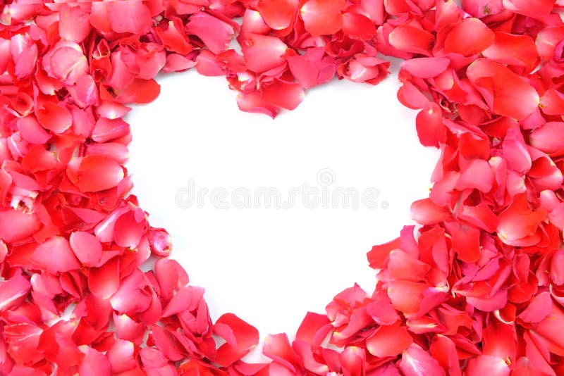 Valentines Day Heart Made of Red Roses Isolated on White Background ...