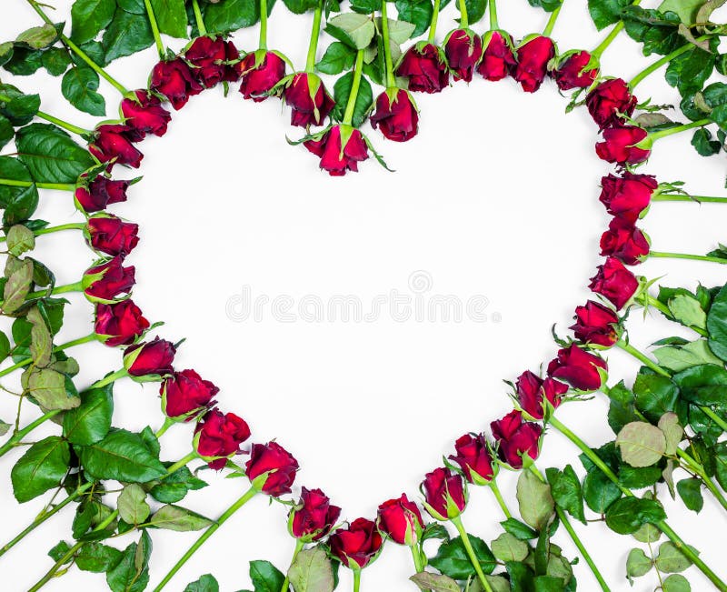 Valentines Day Heart Made of Red Roses Isolated Stock Photo - Image of ...