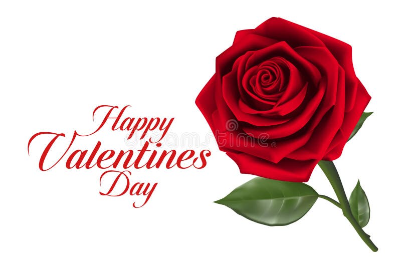 Valentines Day Sweet Red Roses Stock Vector - Illustration of birthday ...