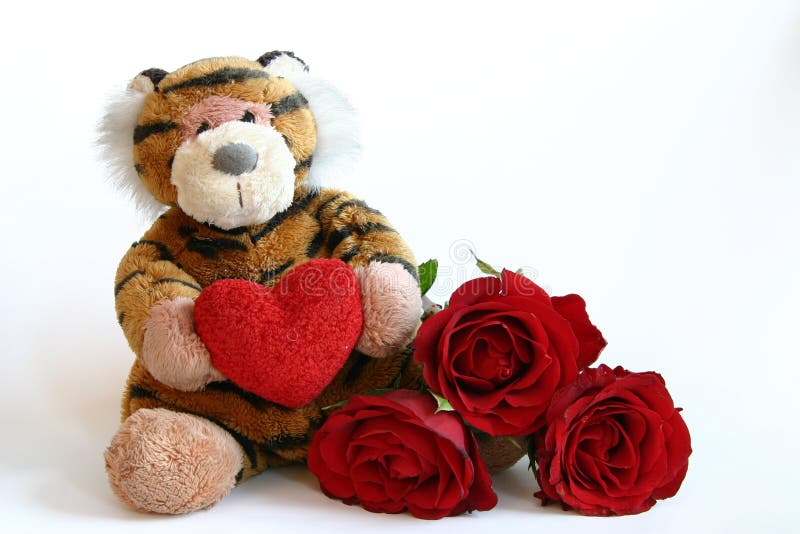 Valentines tiger stock photo. Image of toys, petal, romance - 1803276