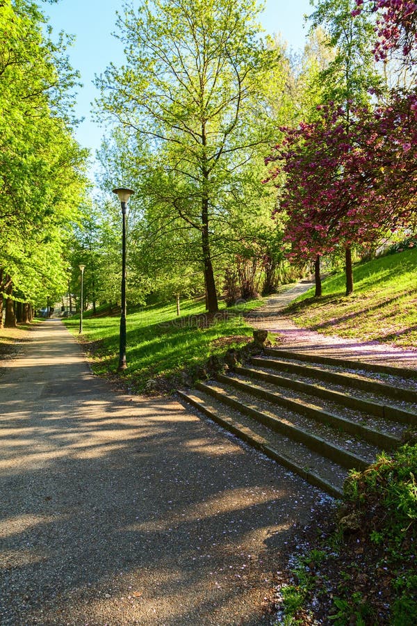 Valentino park in Turin stock photo. Image of trees - 151094776