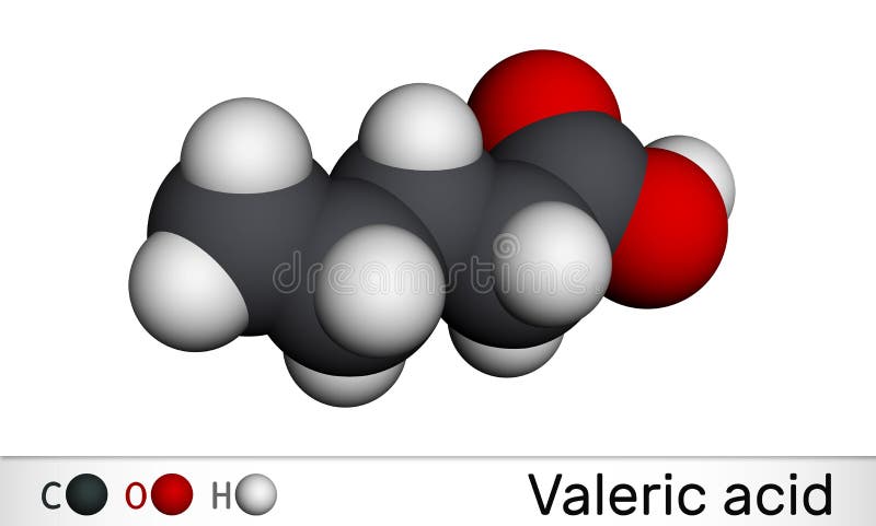 Valeric Acid, Pentanoic Acid or Valerate Molecule. Structural Chemical ...