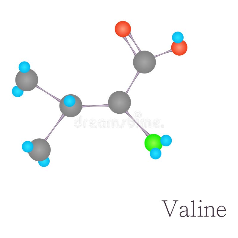 Valine 3D Molecule Chemical Science, Cartoon Style Stock Vector ...