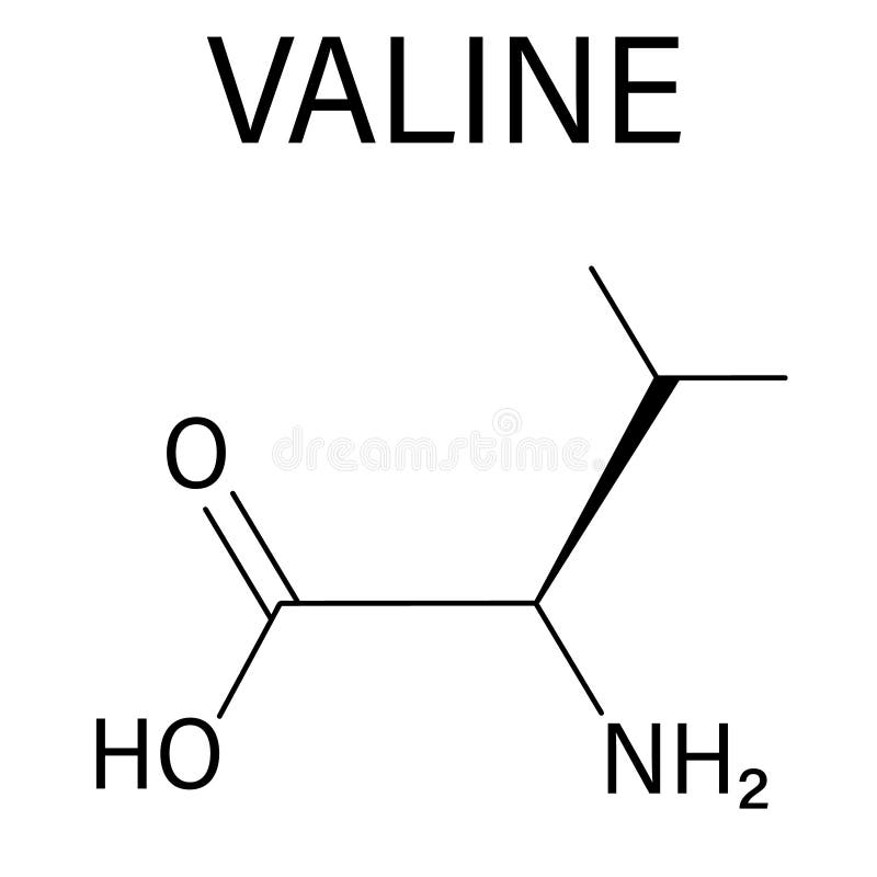 Valine or L-valine, Val, V, Amino Acid Molecule. Skeletal Formula Stock ...