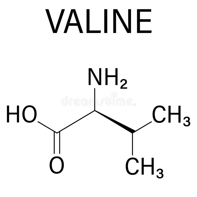 Valin Stock Illustrations – 36 Valin Stock Illustrations, Vectors ...