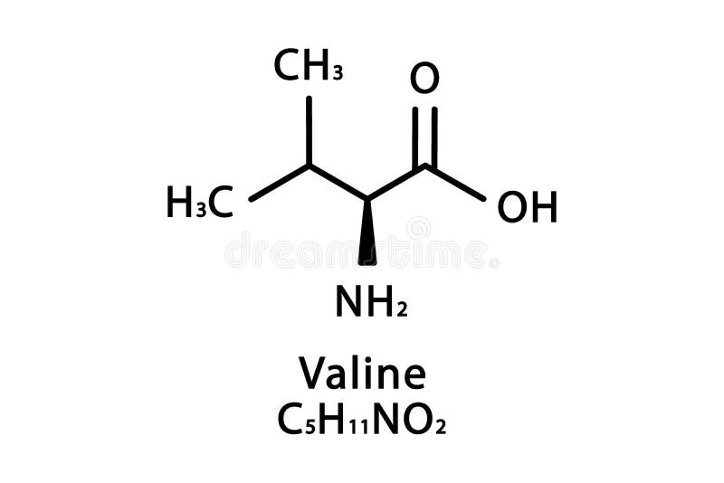 Valine Molecular Structure. Valine Skeletal Chemical Formula. Chemical ...