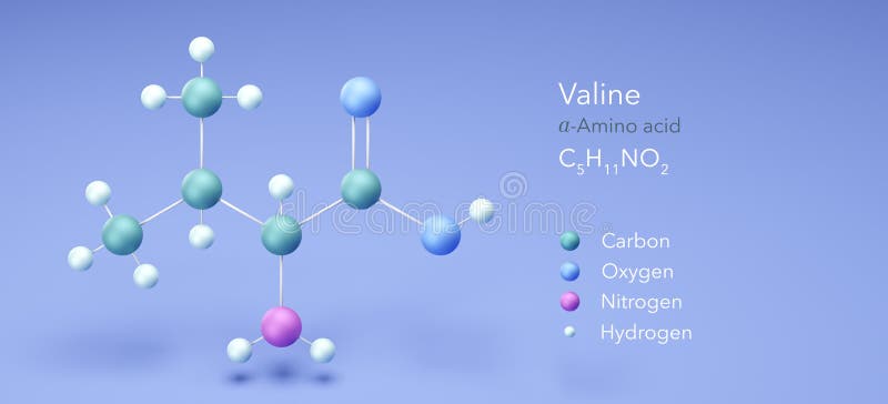 Valine, Molecular Structures, Amino Acid, 3d Model, Structural Chemical ...