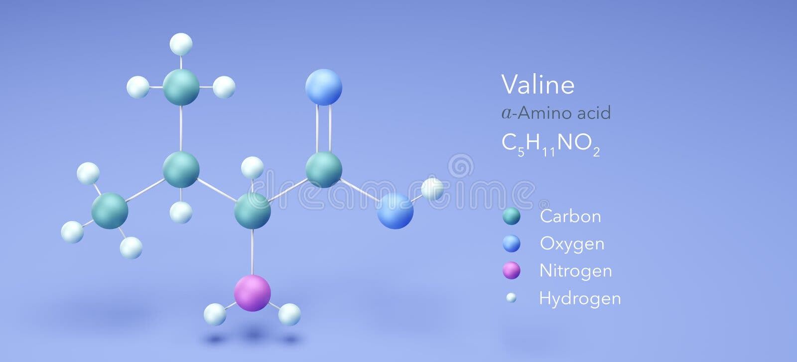 Valine Chemical Formula. Valine Chemical Molecular Structure. Vector ...