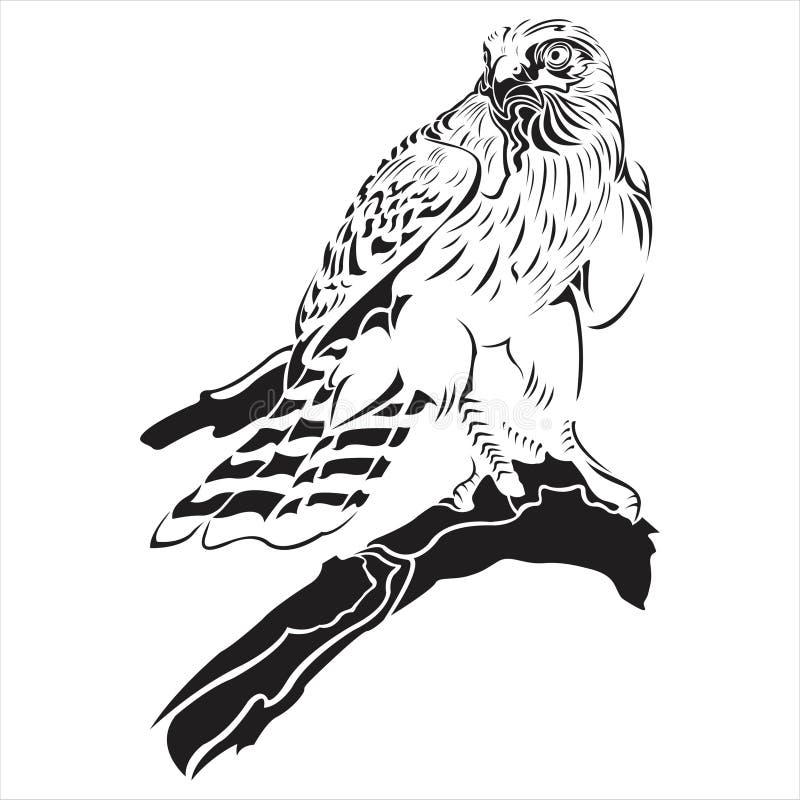 Valk Stock Illustrations, Vectors, & Clipart – (19,326 Stock Illustrations)