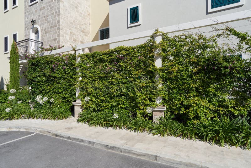 Valla De La Seta En La Fachada Del Edificio Para Paisajismo Foto de ...