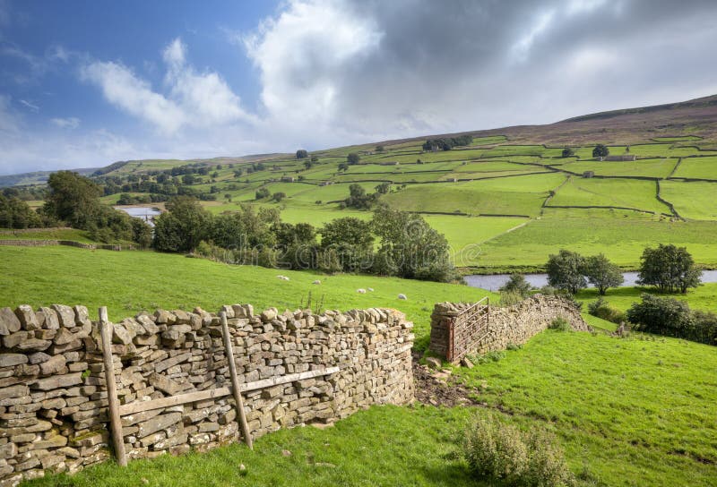 Vallate Di Yorkshire, Swaledale, Inghilterra Fotografia Stock ...