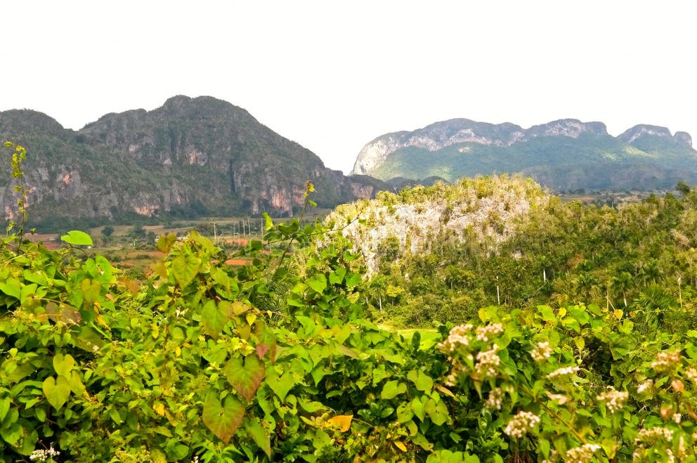 Valle di Vinales immagine stock. Immagine di paesaggio - 13122269