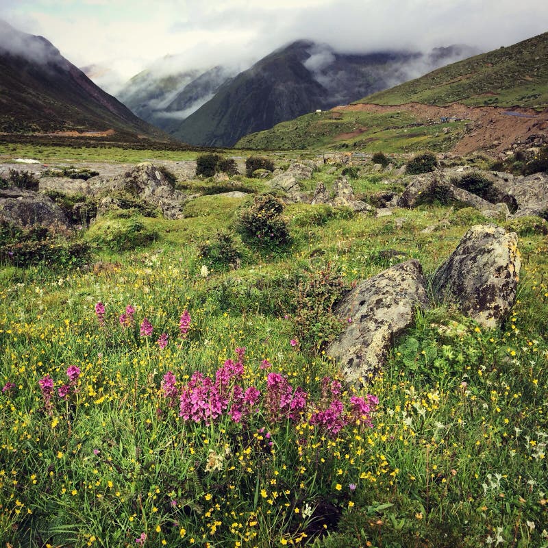 Vallei stock afbeelding. Image of hemel, chaparral, rots - 43295205