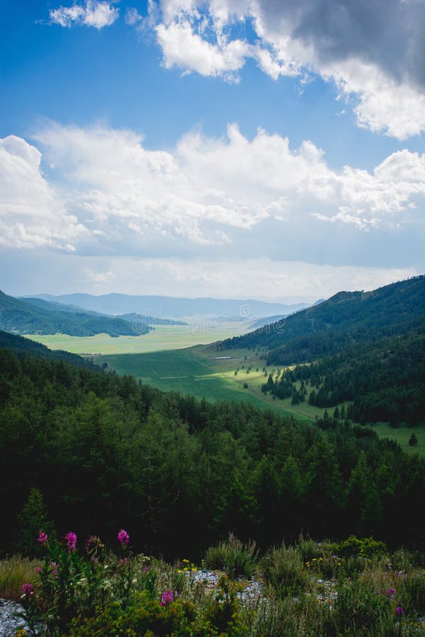 Valley of Altay stock image. Image of altay, river, valley - 41150761