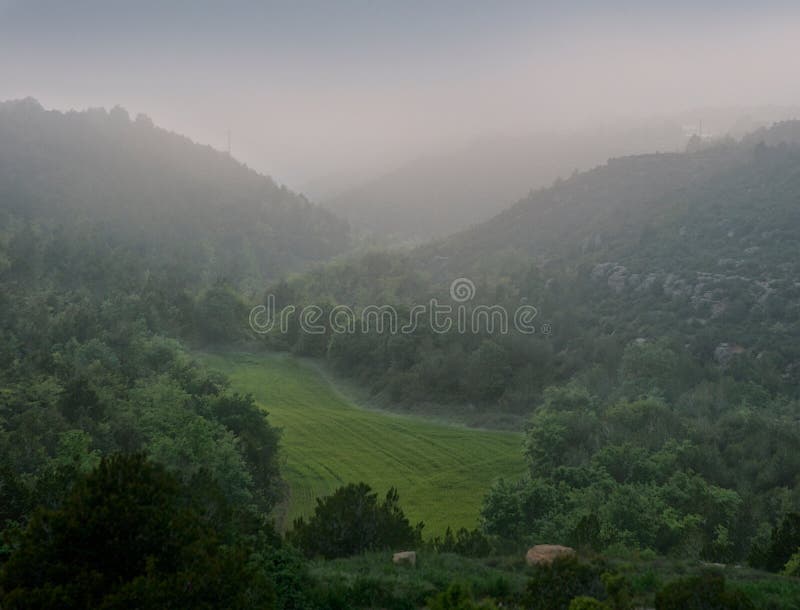 Valley Covered in a Thin Layer of Mist Stock Photo - Image of beauty ...