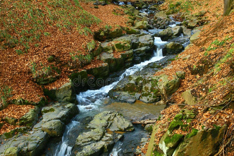 Valley Cut Trough Stone - Autumn Forest. Stock Image - Image of fresh ...