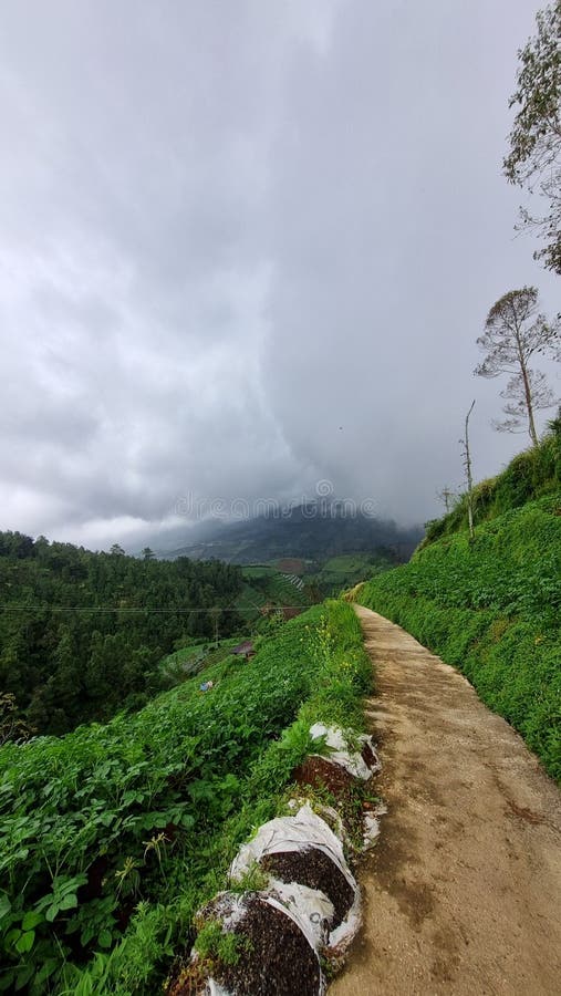 Valley at Dieng Plateau, Indonesia Stock Image - Image of java, dieng ...