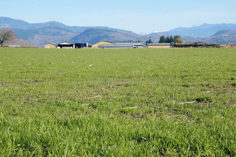 Prosperous Farm stock photo. Image of field, grass, roof - 176934