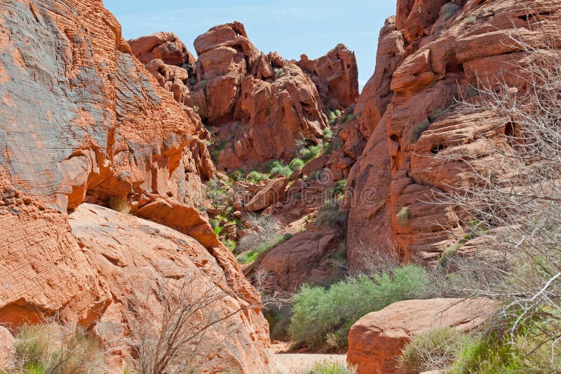 Valley of Fire State Park Nevada Mouse Tank Canyon Stock Image - Image ...