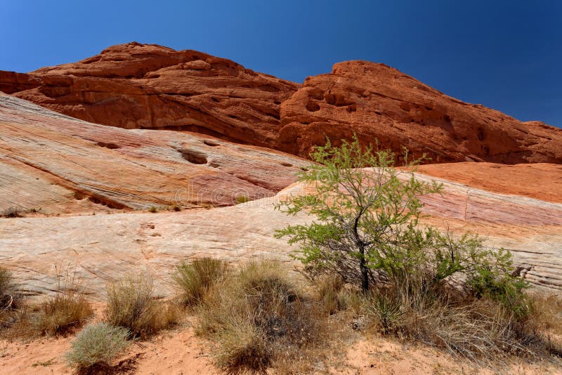 Valley of Fire State Park, Nevada, United States Stock Photo - Image of ...