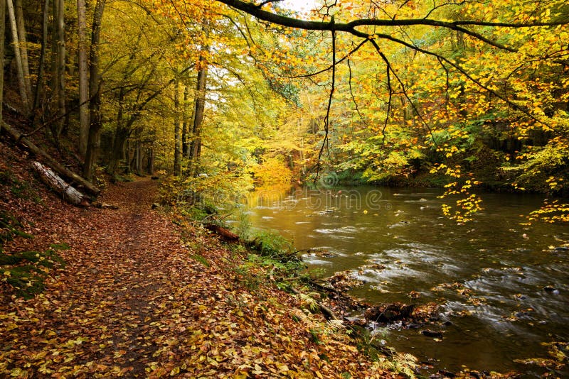 Valley in the forest stock image. Image of plant, peace - 80634031