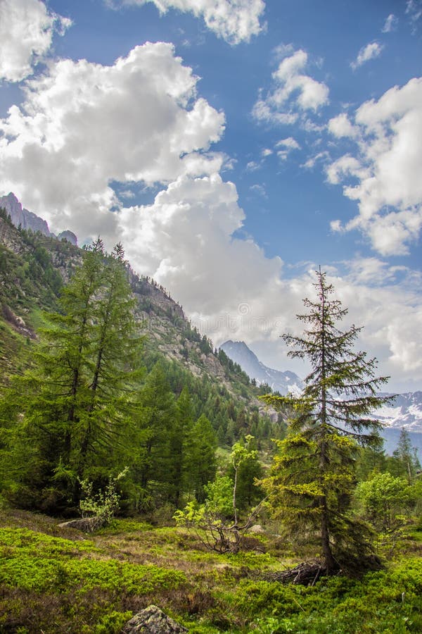 Valley in French Alps stock photo. Image of scene, france - 66043990