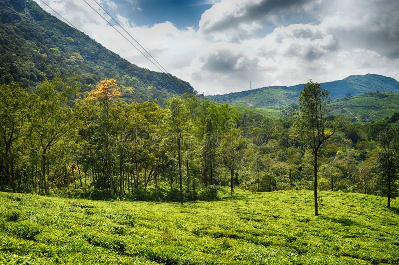 Beautiful View of a Valley Hill Stock Image - Image of crop, morning ...