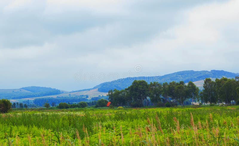 Valley with Hills in Distance. Summer Landscape Stock Image - Image of ...
