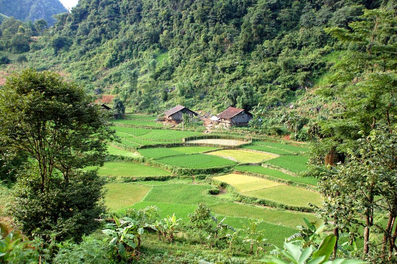 Valley Landscape In Vietnam Picture. Image: 8420776