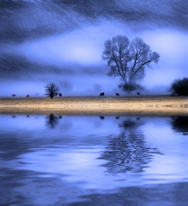 Mystic lake stock photo. Image of dark, mistic, blur, trees - 112044