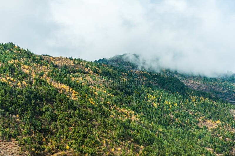 Valley in the mist stock image. Image of primitive, mountain - 43860353