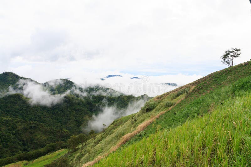 Valley in the mist stock photo. Image of desolate, covered - 56389386