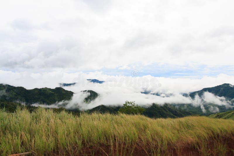 Valley in the mist stock photo. Image of deciduous, hills - 56389392