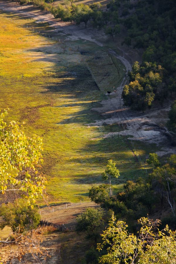 The valley stock image. Image of trees, natural, quiet - 47979035