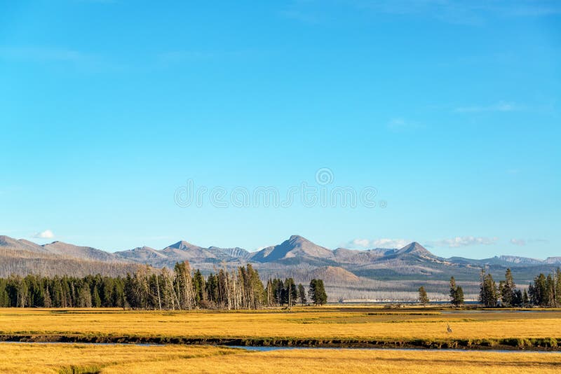 Valley and Mountains in Yellowstone Stock Image - Image of valley ...