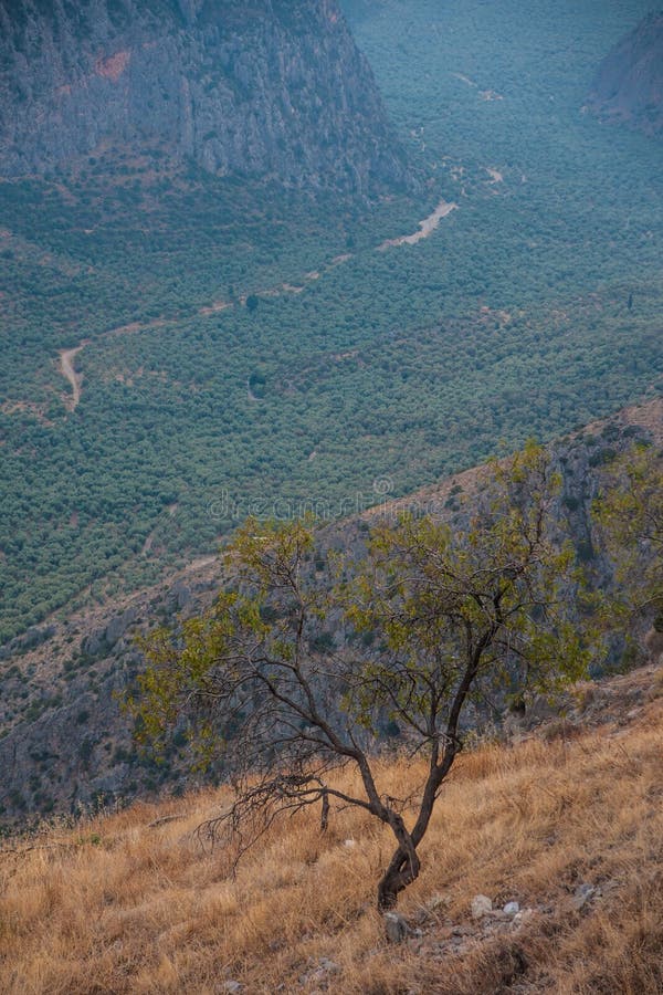 Valley near delphi stock photo. Image of tourism, mountain - 40614380