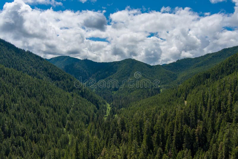 Valley in the Olympic Mountains of Washington State in June of 2022 ...