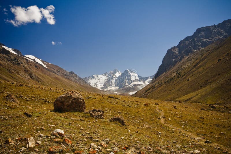 Valley of Pamir stock photo. Image of east, asia, cows - 7498816