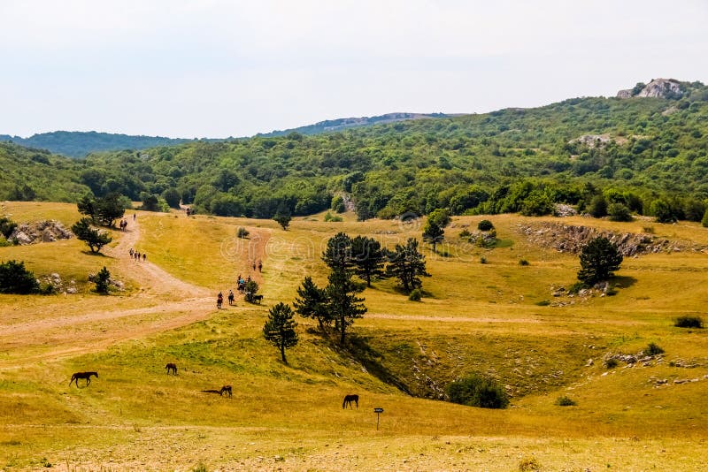 Valley on the plateau stock image. Image of tourism, sunny - 79778789