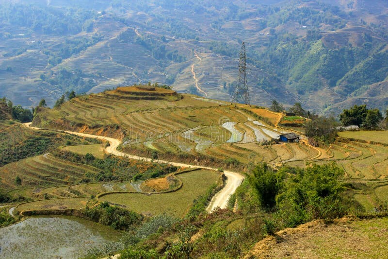 A Valley with Rice Fields. Rice Multi-stage Gardens Stock Photo - Image ...