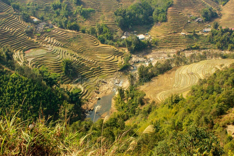 A Valley with Rice Fields. Rice Multi-stage Gardens Stock Photo - Image ...