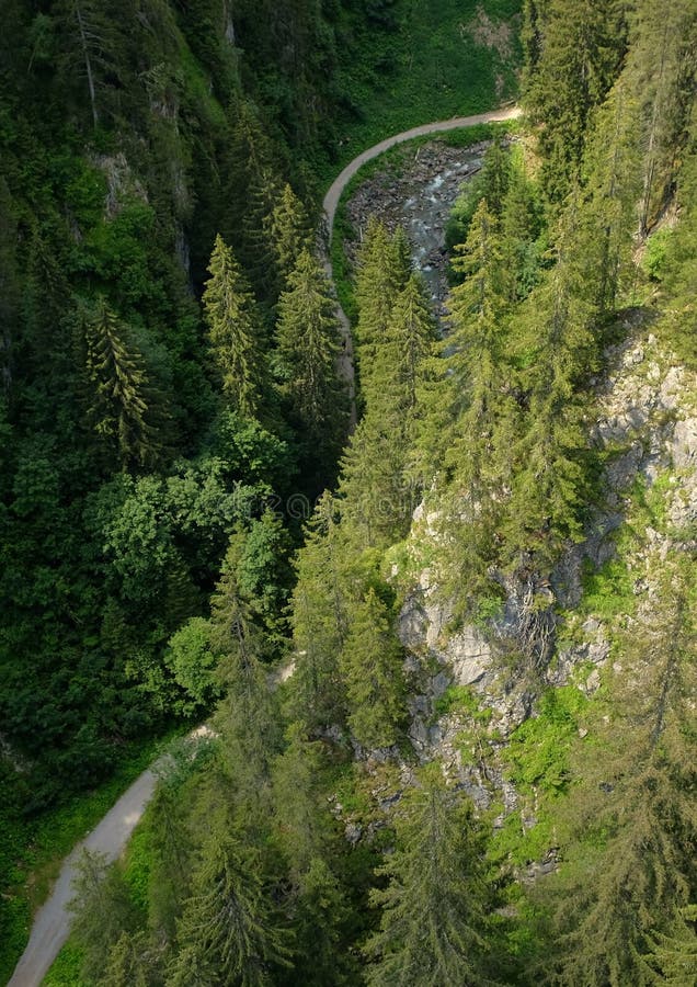 Valley with River Waterfall and Trees in Open Nature Stock Photo ...