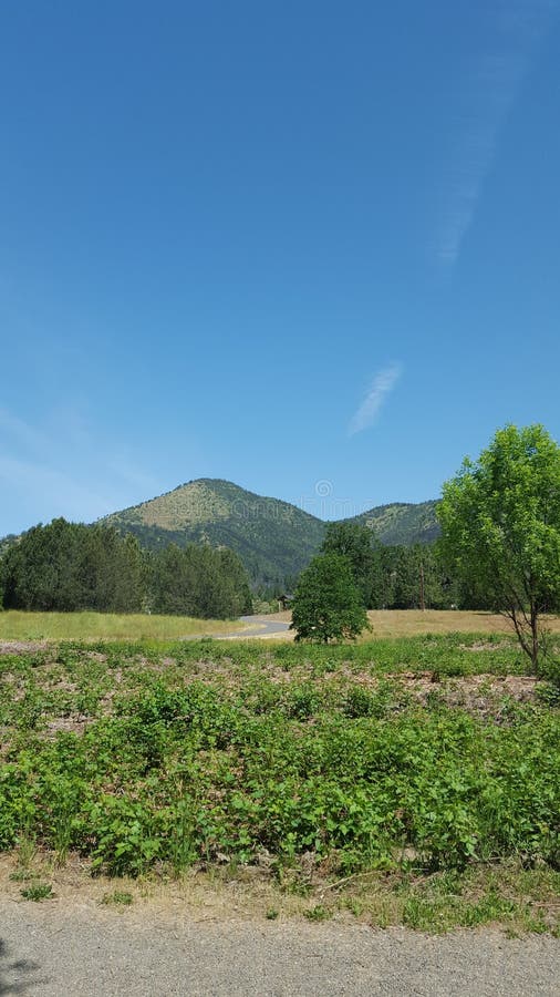 Valley of the Rogue State Park Stock Image - Image of hills, landscape ...