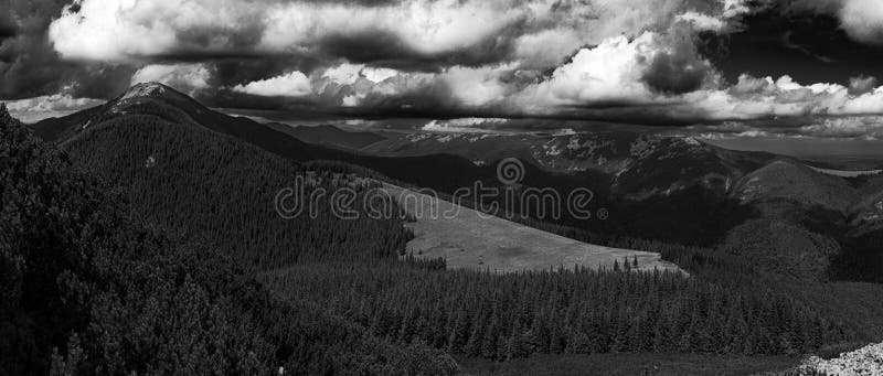 The Valley& X27;s Surrounding Deep Forest Creates a Feeling of ...