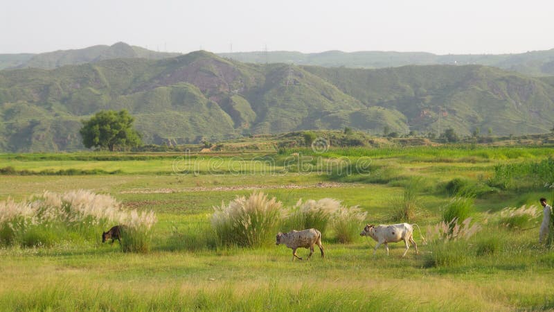 Valley of Salt Range Mountains Stock Photo - Image of beautiful ...