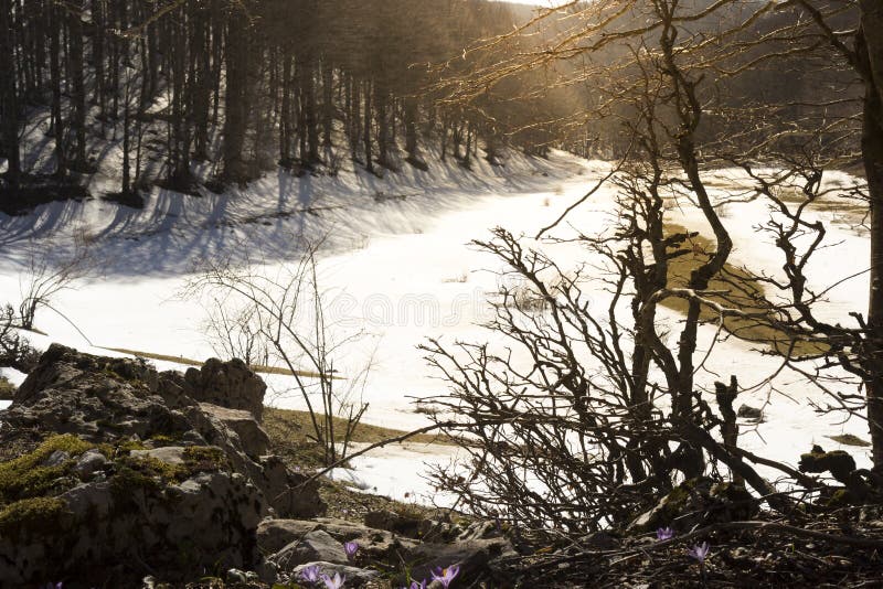 Valley and snow stock photo. Image of countryside, handsome - 93848216