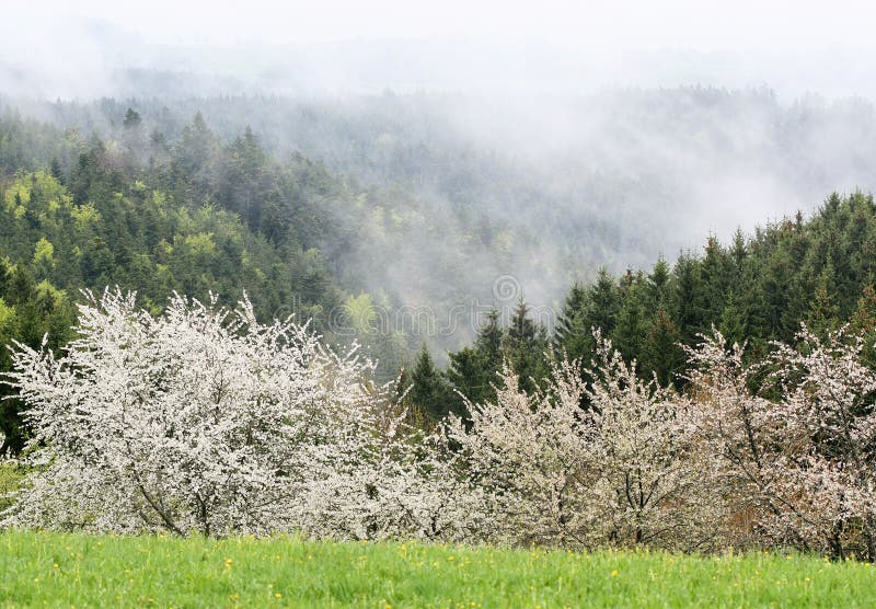 Valley after Spring Rain stock image. Image of rising - 17944079