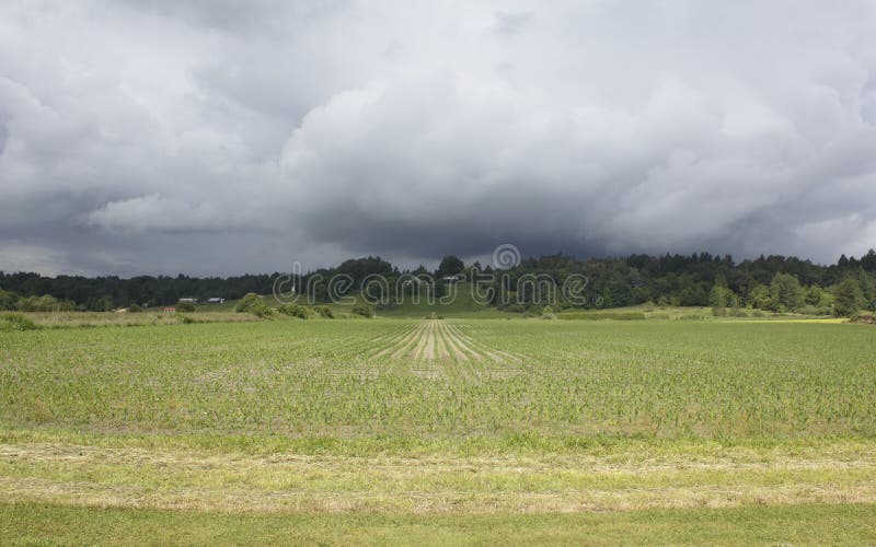 Valley Storm Clouds stock photo. Image of moisture, heavy - 31823780